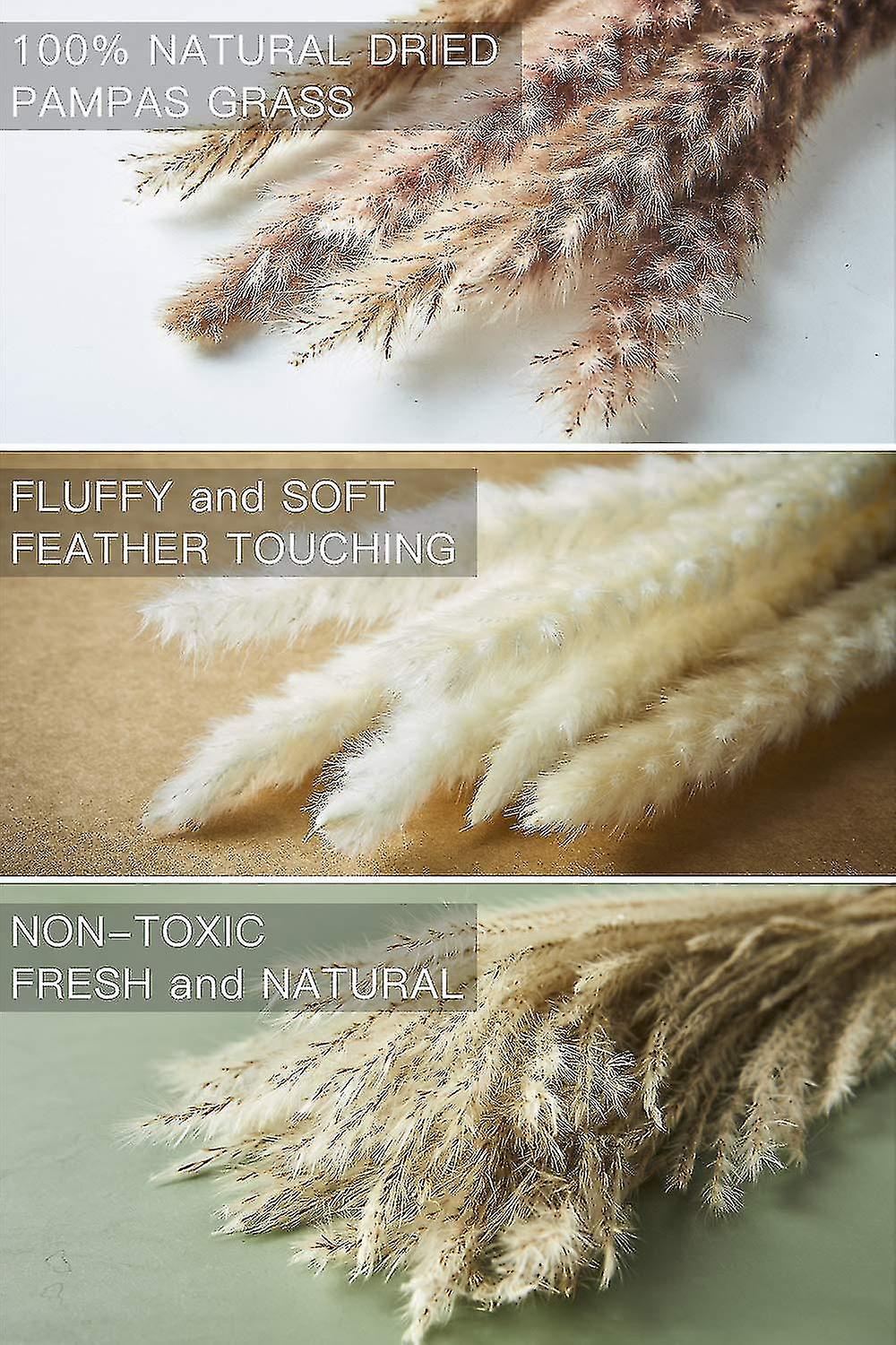 70pcs Natural Dried Pampas Grass With 3 Kinds Of Color Fluffy And ...