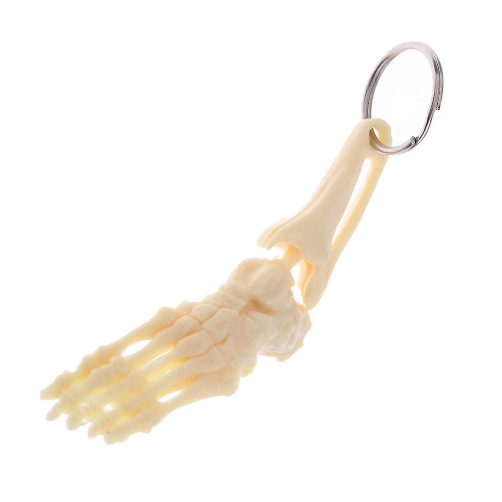 Human Skeleton Foot And Ankle Joint Model Key Chain Key Ring Creative ...
