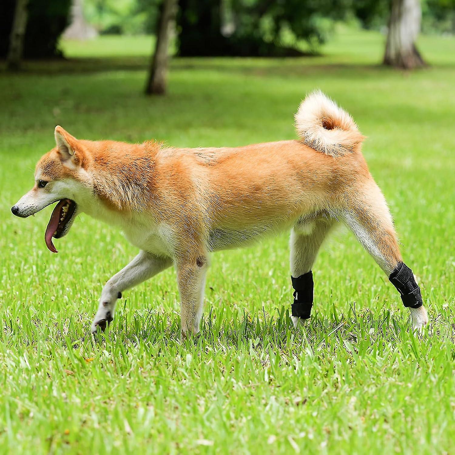 Dog Hind Leg Brace: Hock & Ankle Support for Torn ACL & CCL, Canine ...