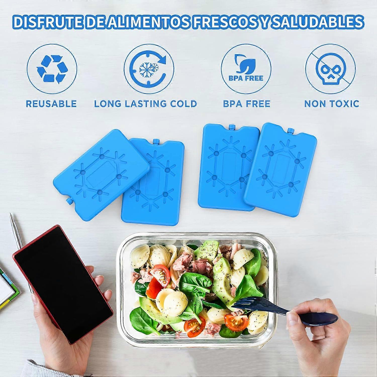 Ice Block for Glaciere - Set of 4 pieces, Each of 200 milliliters - Ice ...