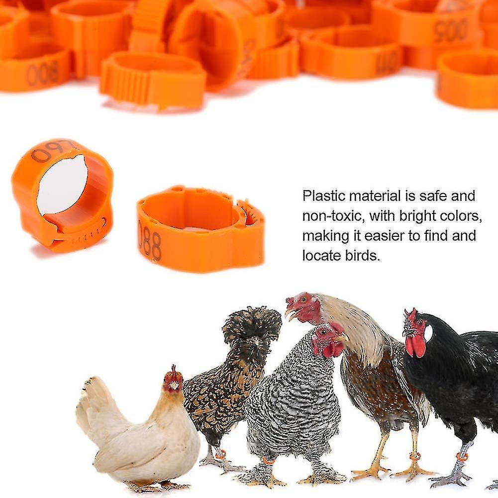Poultry Foot Ring, 100pcs 001-100 Numbered Plastic Bird Leg Bands Rings ...