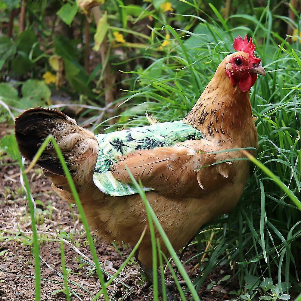 Chicken Saddles , Hen Aprons , Protector Apron For Poultry, Poultry ...
