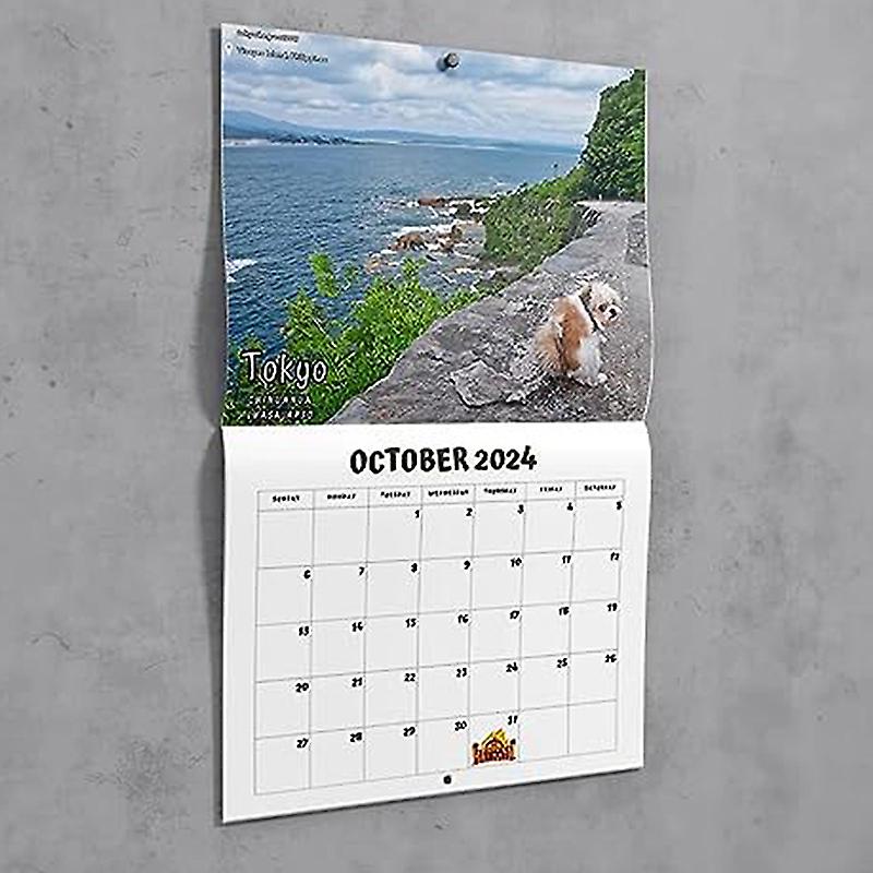 2024 Wall Calendar-dog Pooping Calendar, Monthly Calendar Planner,thick ...