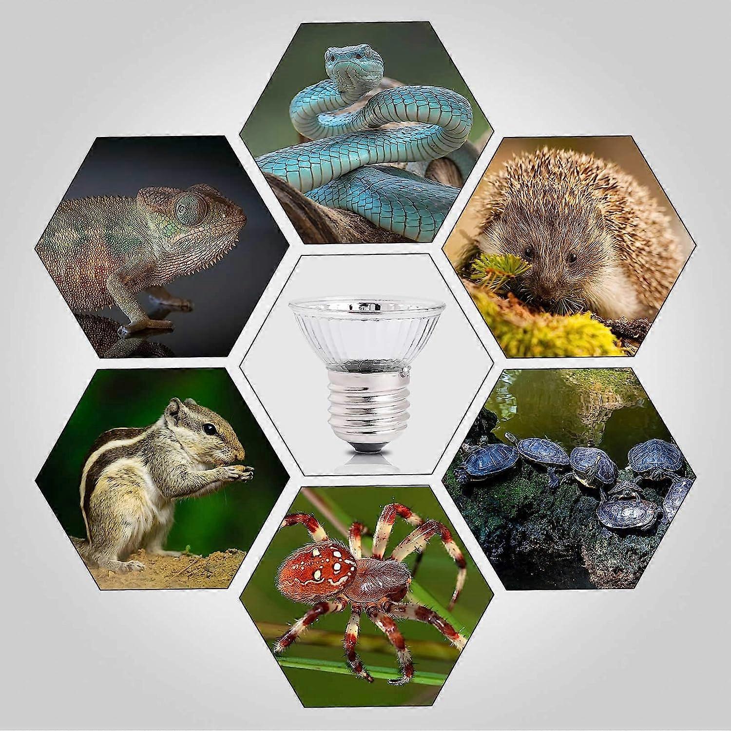 25W UVA+UVB Full Spectrum Solar Lamp Sunbathing Heat Lamp/Bulb/Light ...