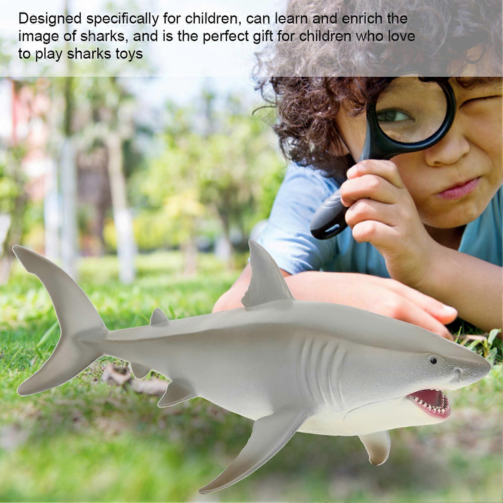 Shark Model Marine Simulation Ocean Sea Life Rare Animal Toy Figurine ...