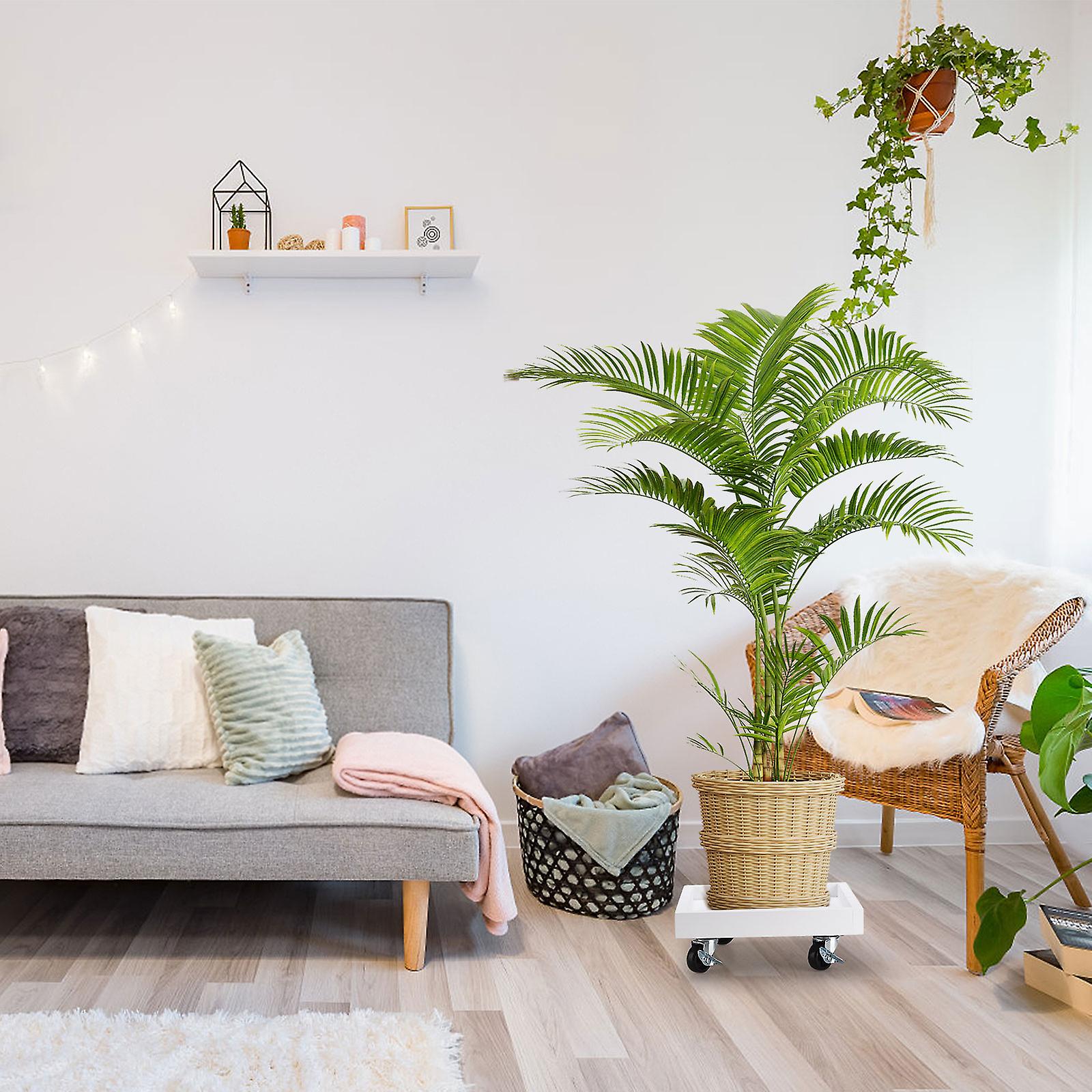 Heavy duty Caddy rolling plant stand with square plant wheels with ...