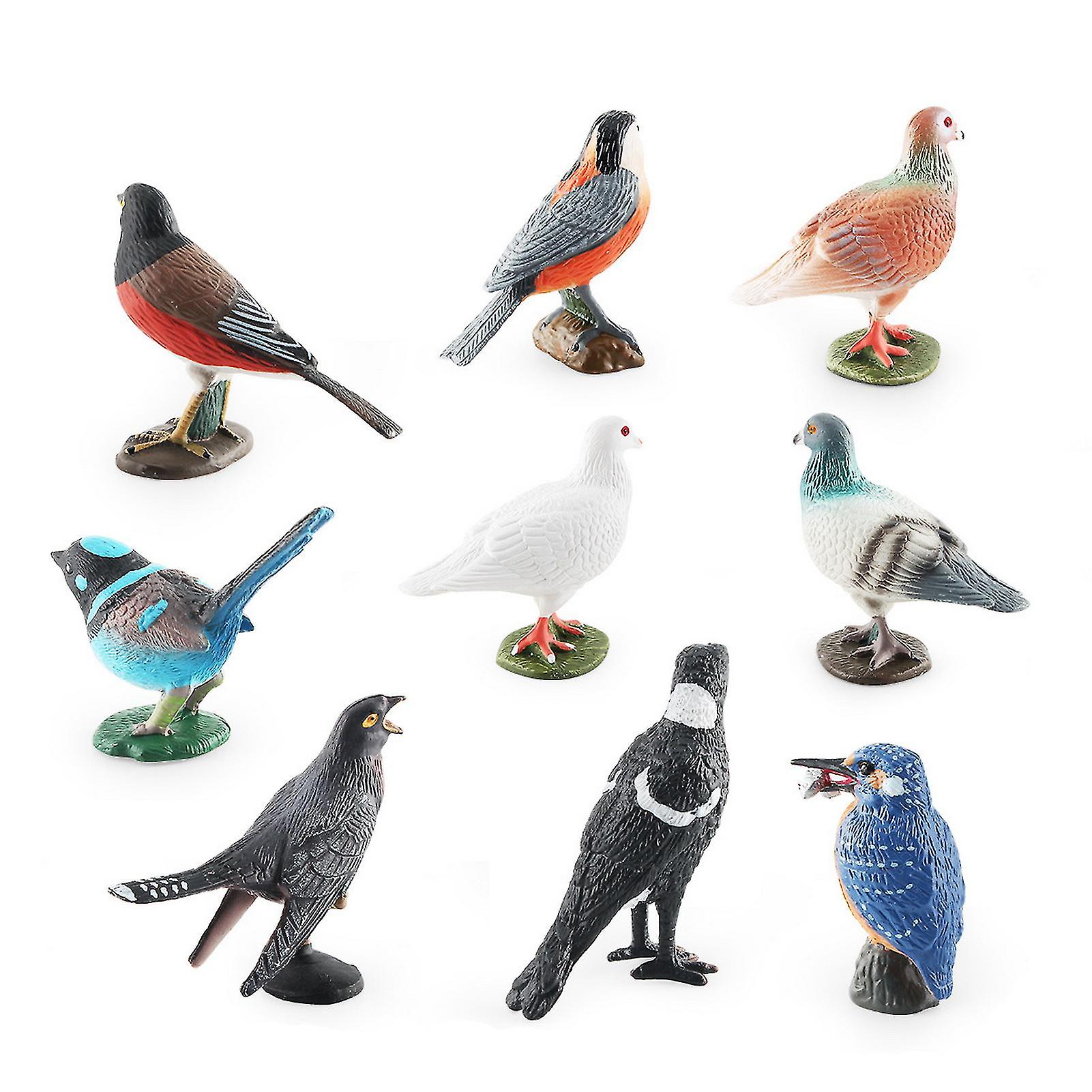 Feather Animal Model Simulated Magpie Pigeon Cuckoo Blue Wren Rusty ...