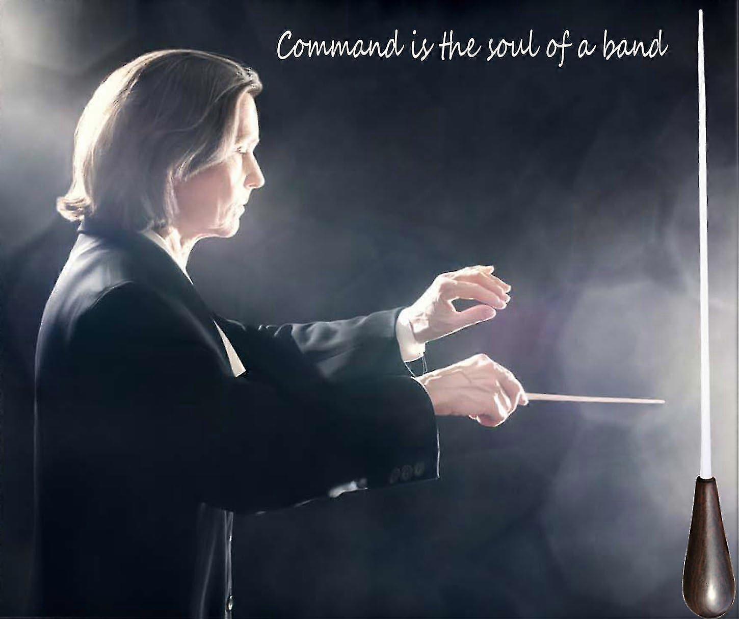 Music Band Conducting Baton Orchestra Baton Black Walnut Handle Baton ...