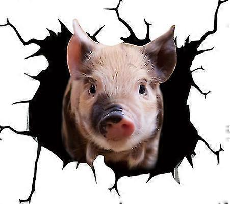 Funny Pig Cracked Car Sticker Car Window Meme Cattle Decal 12 X 12" Pvc ...