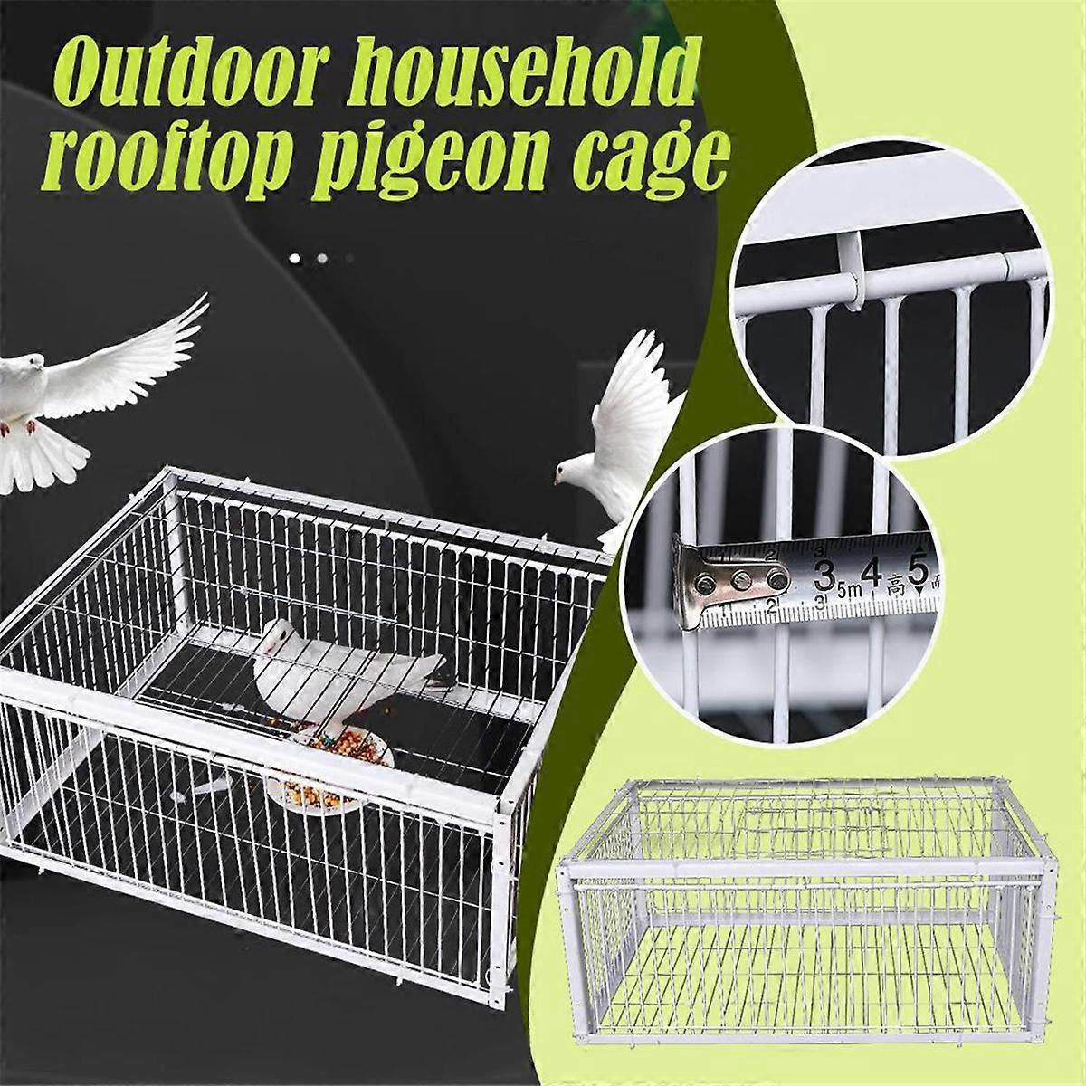 Auto Trap Bird Cage Trap bird Cage Entry Only No Exit Bird Cage ...
