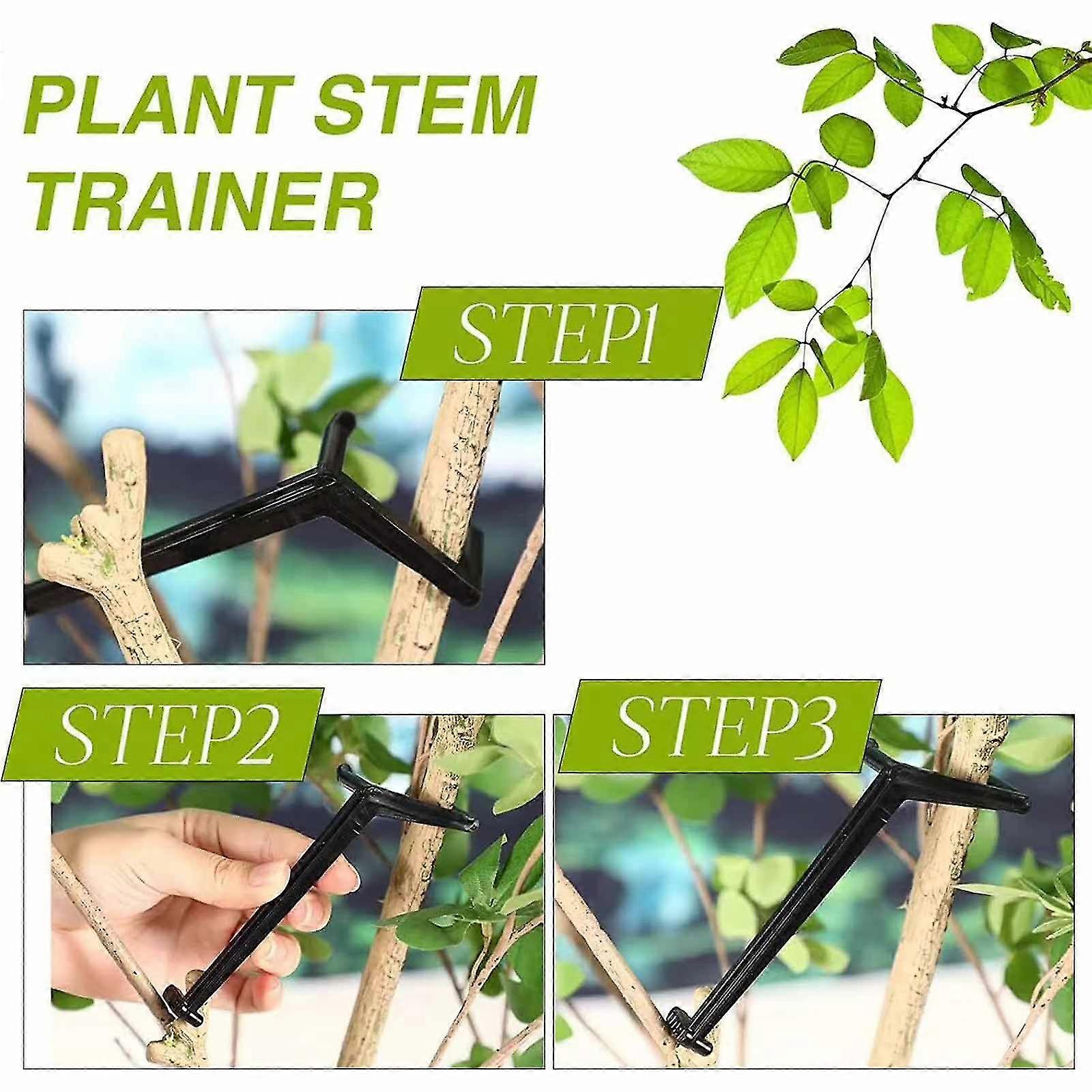 Fruit Tree Branch Limb Spreader For Strong Spreading Crotch Angles ...