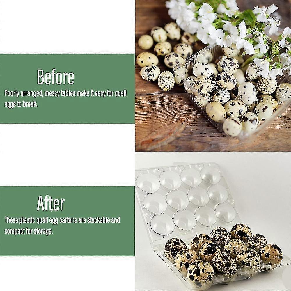 100pcs 12 Grids Quail Egg Box Reusable Quail Egg Cartons Egg Storage ...