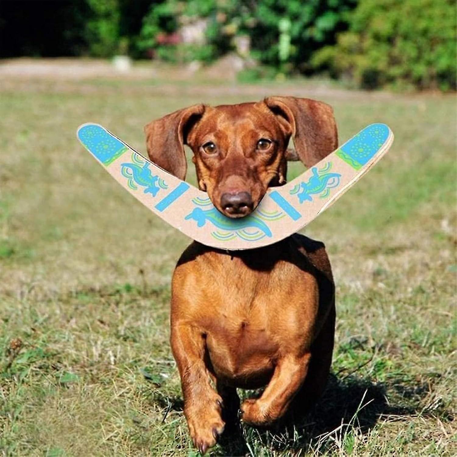 Boomerang For Kids 2 Pack, Australia Style Wooden Handmade Boomerangs ...