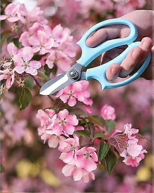 Flower Scissors 2 Pcs - Stainless Steel Floral Scissors, Flower Cutters ...