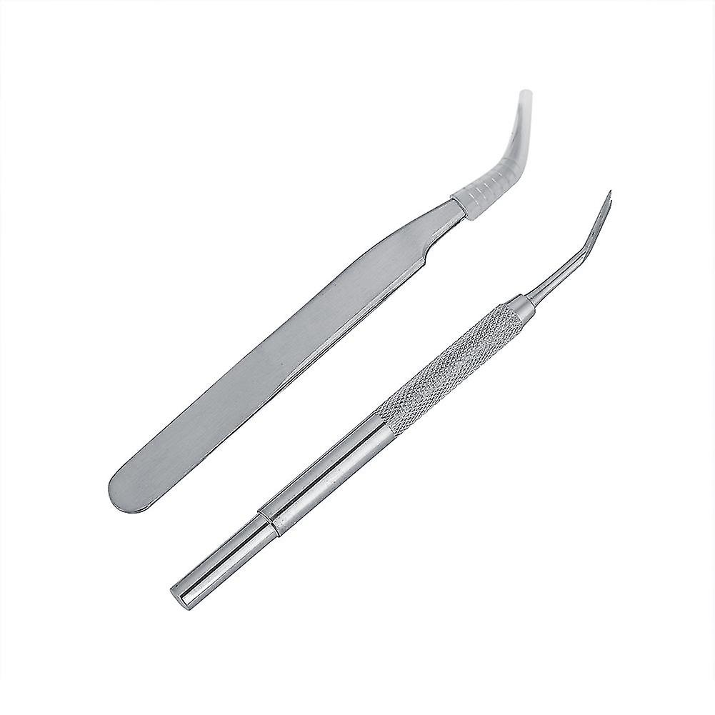 2PCS Pet Dog Tick Remover Kit Stainless Steel Tweezers Tick Removal ...