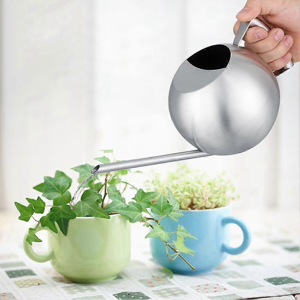 Stainless Steel Watering Can 1000mL Long Mouth Round Sprinkling Pot for ...