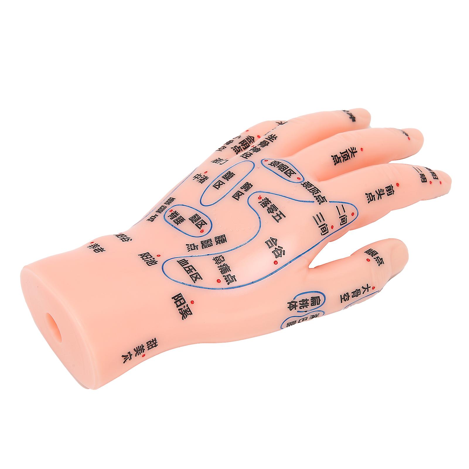 Left Hand Acupoint Model - High-Detail PVC Teaching Aid for Accurate ...