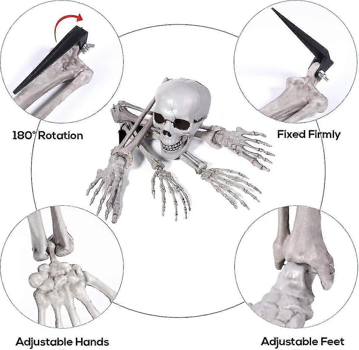 Skeleton Bones And Skull Plastic Spooky Fake Skeleton For Halloween ...