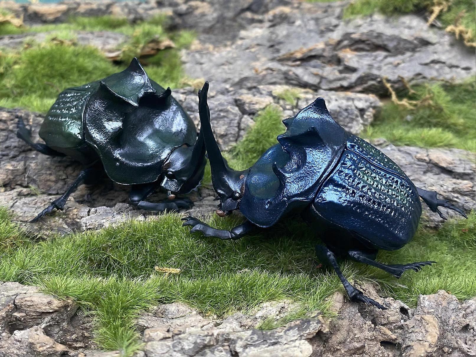 Bandai So-Ta Japanese Gashapon Egg Big Biological Map Of Scarab ...