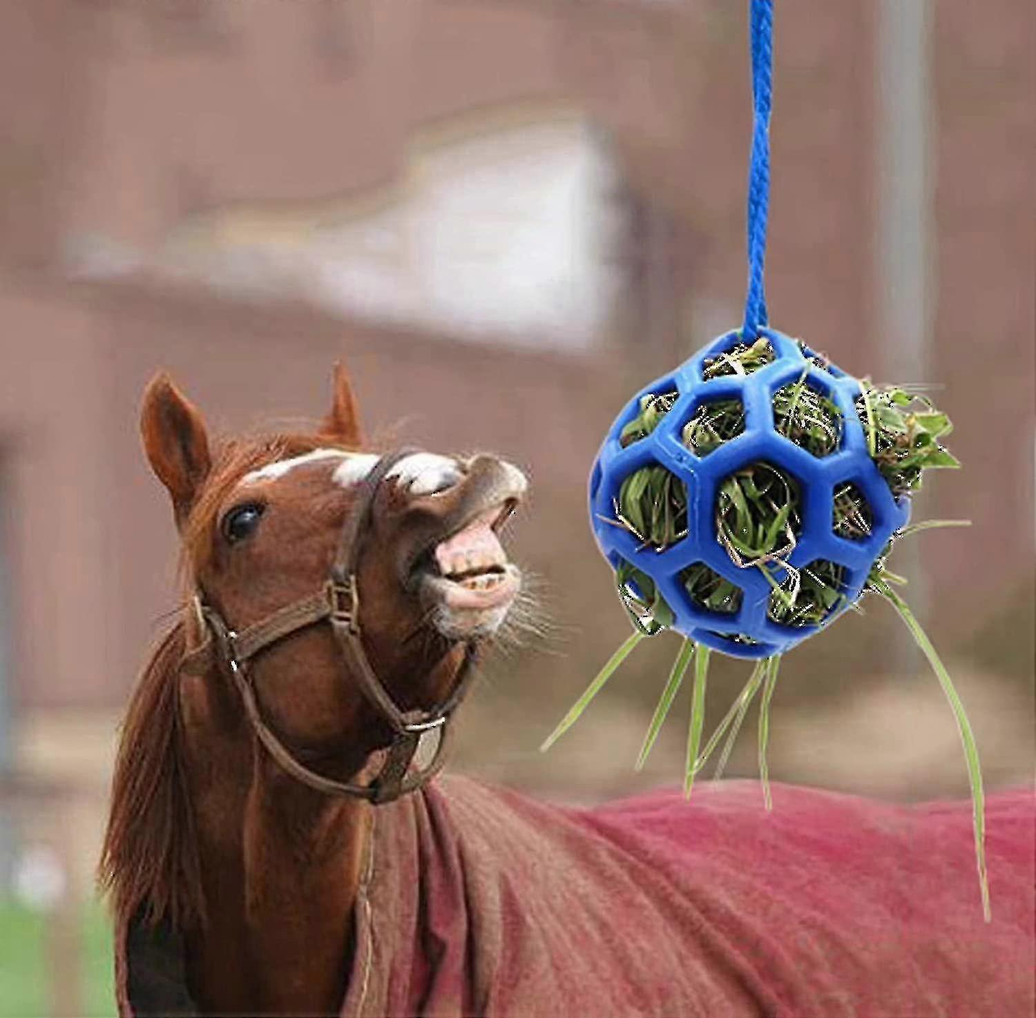 1 Pack Horse Treat Ball Hay Feeder Toy, Goat Feeder Ball Goat Hay ...