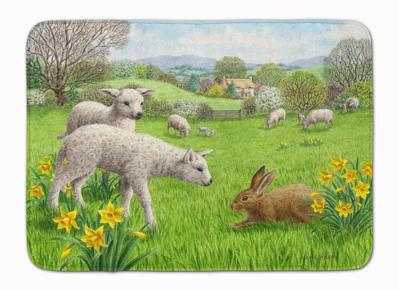 Lambs, Sheep and Rabbit Hare Machine Washable Memory Foam Mat | Fruugo UK