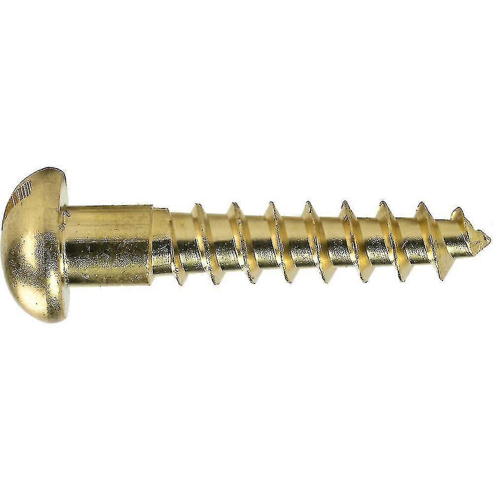 20pc Hot Solid Wood Screws Brass Round Chamfer Head Slotted Drive Self ...
