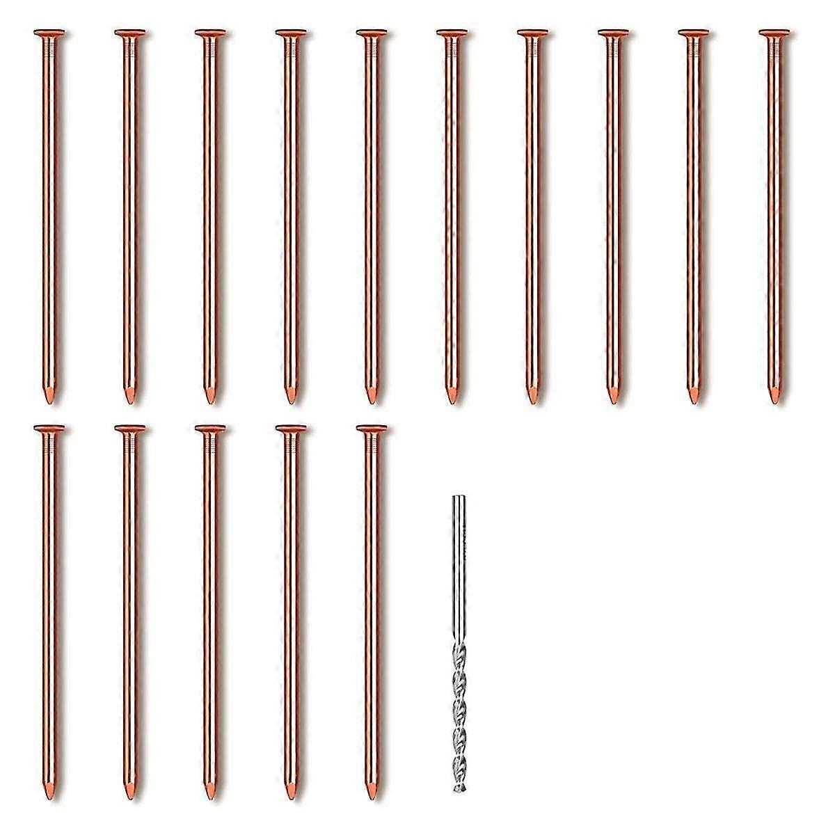 15Pcs Copper Nails for Killing Trees Stump Root, 3.14 Inch Long Pure ...