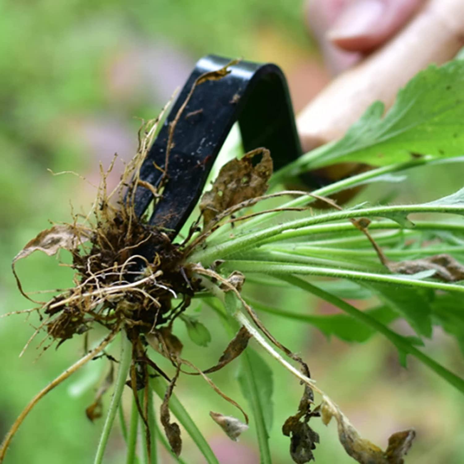 Upgraded Wood Handle Manual Deep Root Weeder Dandelions Remove Tool V ...