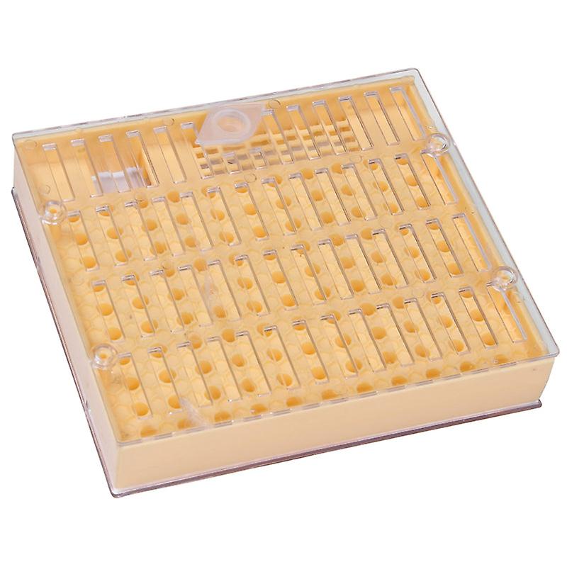 Complete bee queen rearing cup kit system, bee beekeeping catcher box ...
