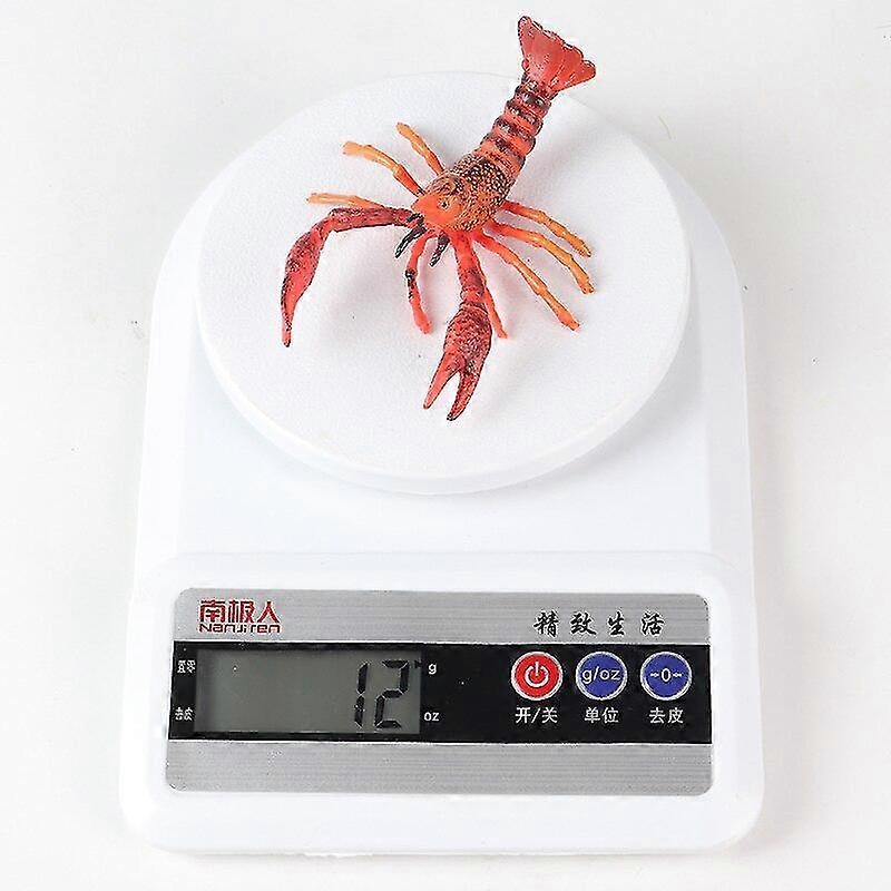 Simulation Of Marine Freshwater Crayfish Red Crayfish Animal Lobster ...