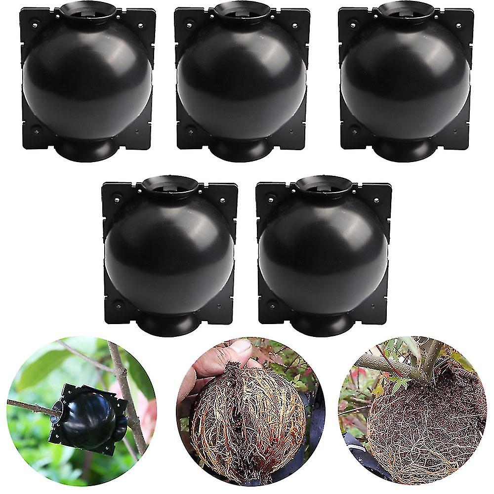 10 Pack Plant Rooting Deviceplant Root Growing Box For Plant ...