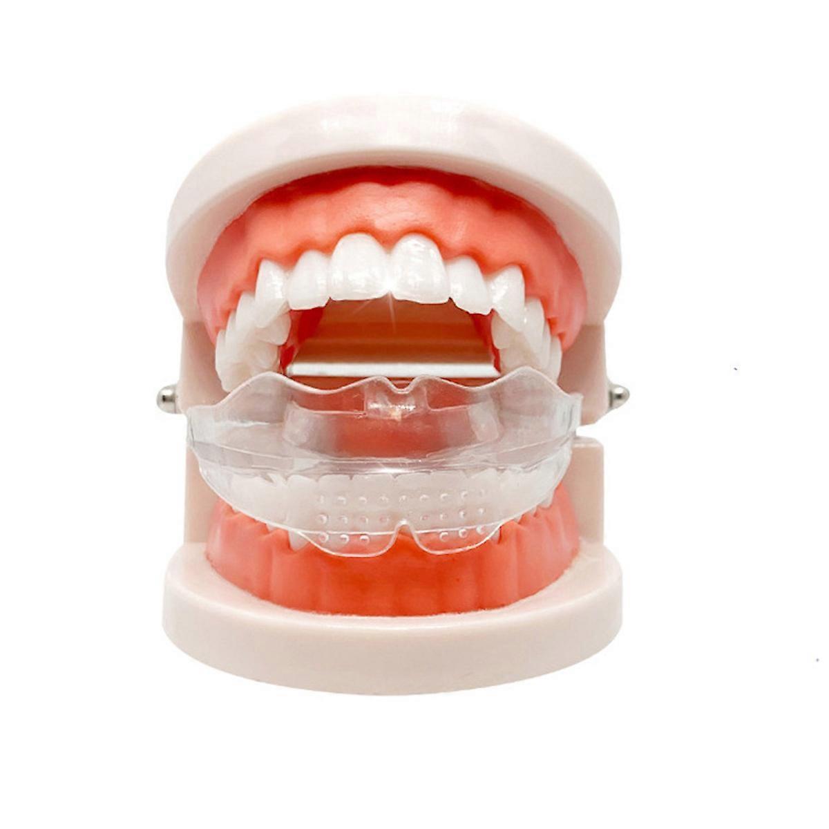 2 x Professional Dental Splint and Mouth Guard for Clenching Teeth at ...