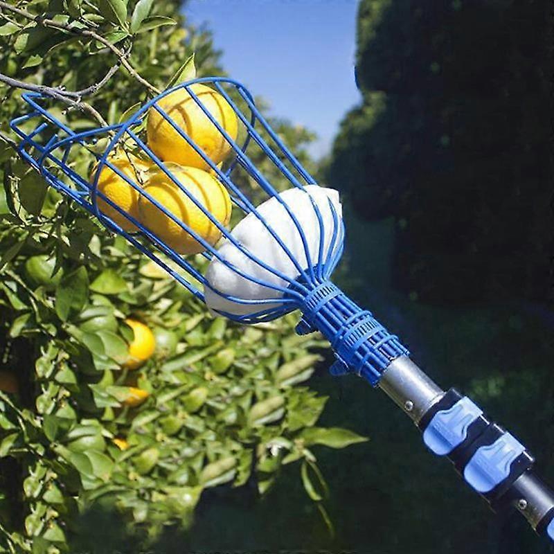 Fruit Picker Tool, Fruit Catcher Head, Grabber Stick Metal, Outdoor ...