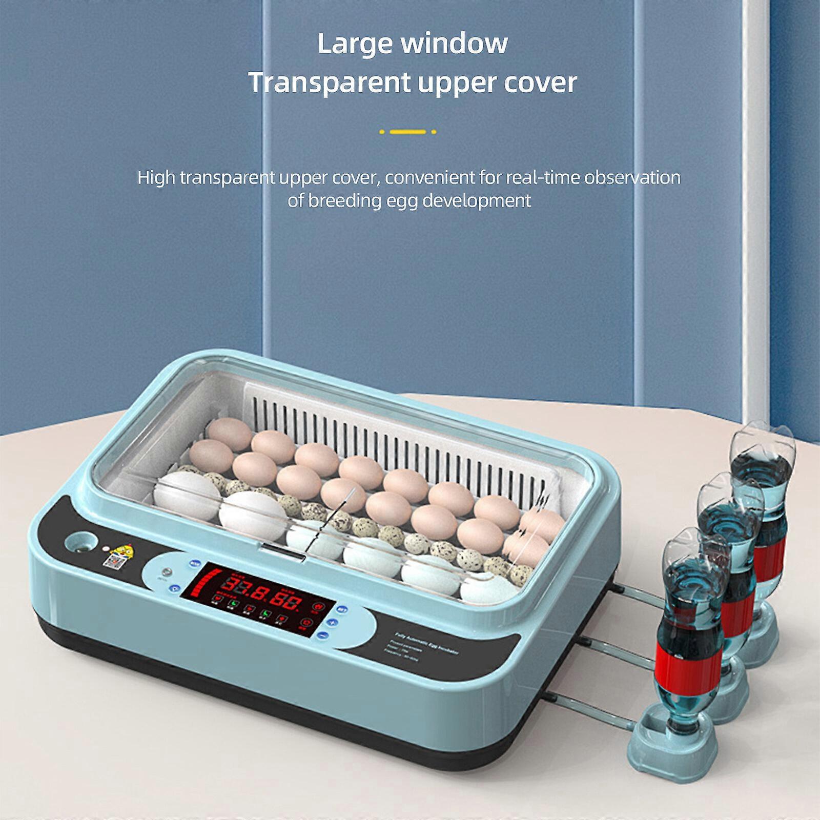 Egg Incubators For Chickens Incubators For Hatching Eggs Automatic ...
