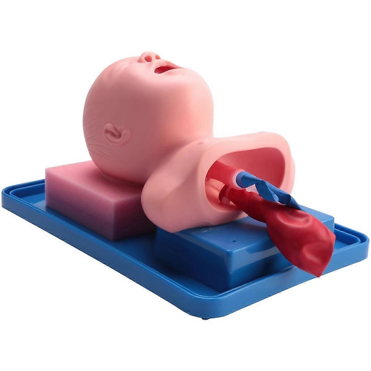 Neonatal Tracheal Intubation Model Analog Double Lung and Stomach ...