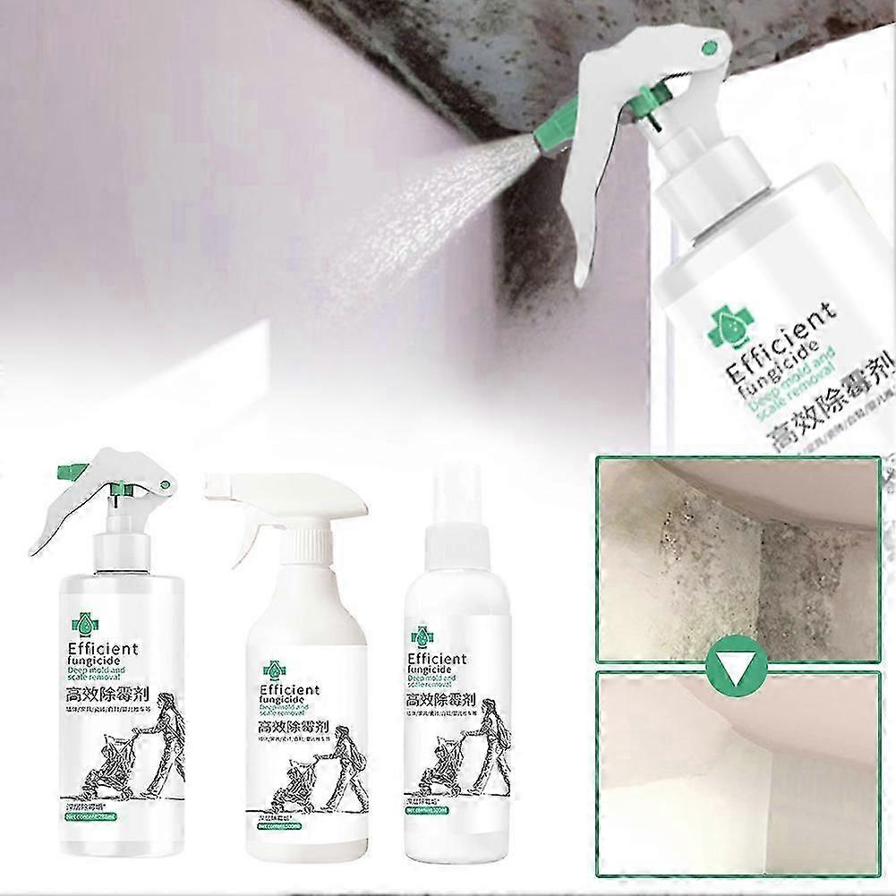 Mold Remover for Walls - Prevents & Removes Mold, Mildew, Stains on ...