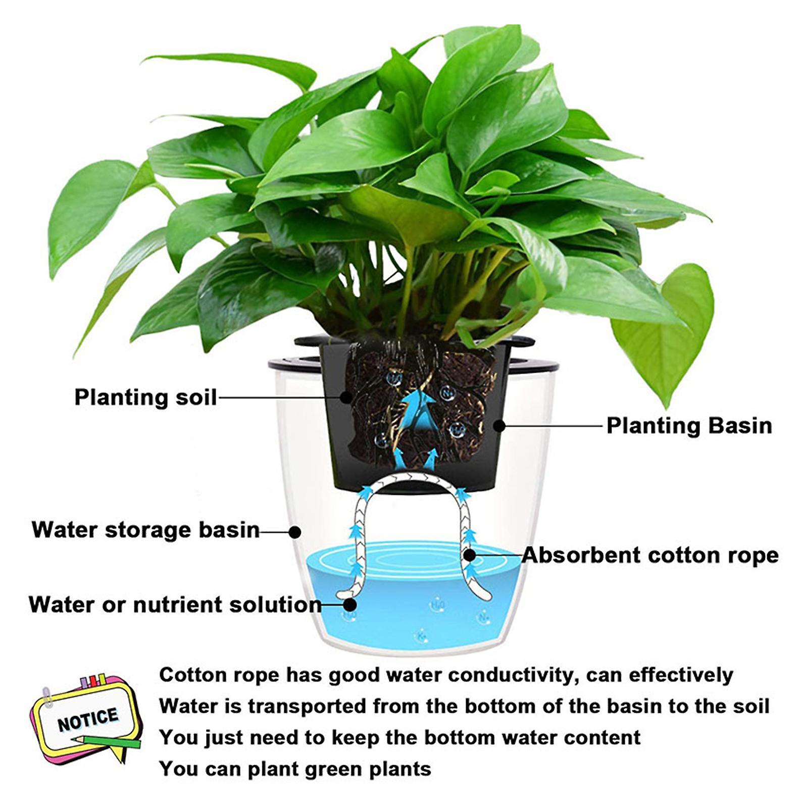 Self Watering Wick Cord Capillary For Plants - Automatic Diy Watering ...