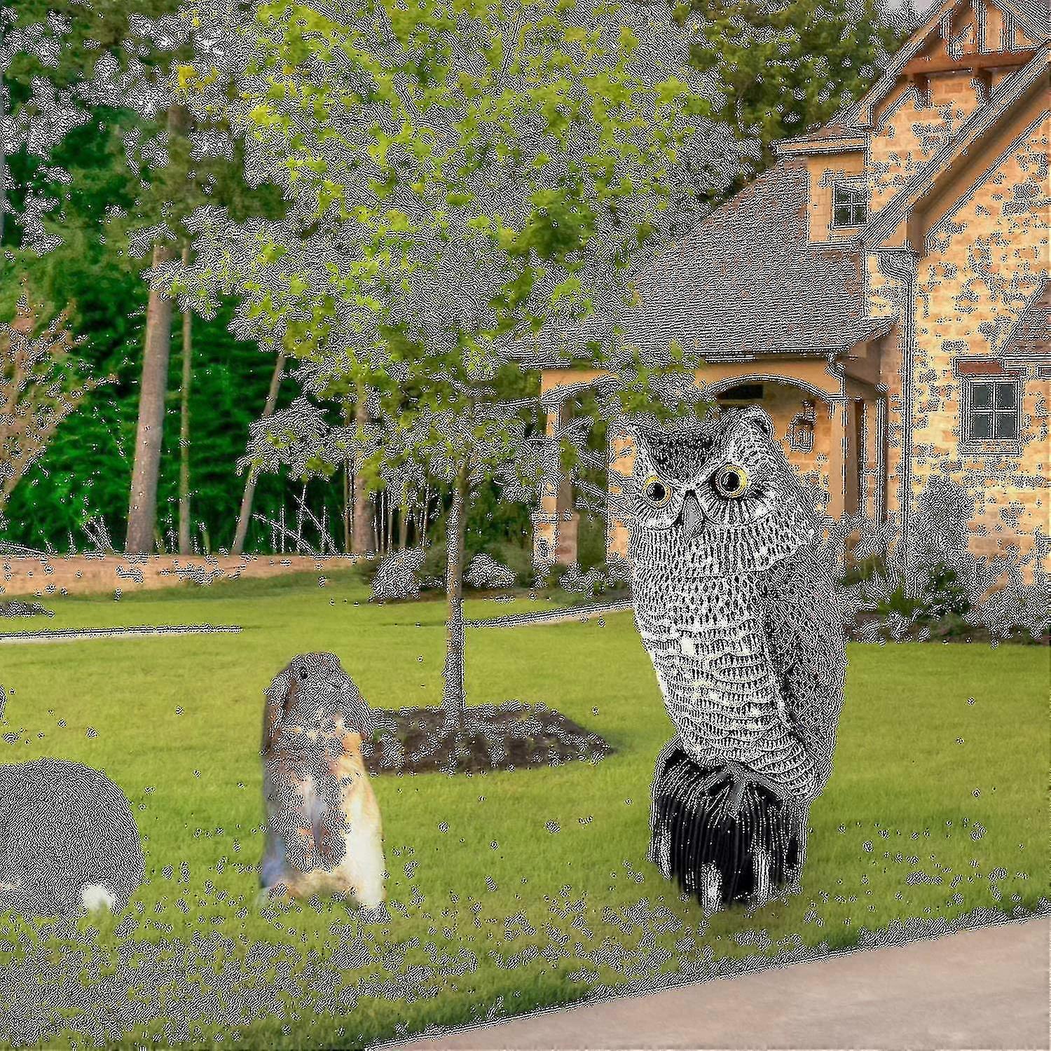 Plastic Owl Scarecrow With Rotating Head And Sound - Realistic Bird ...