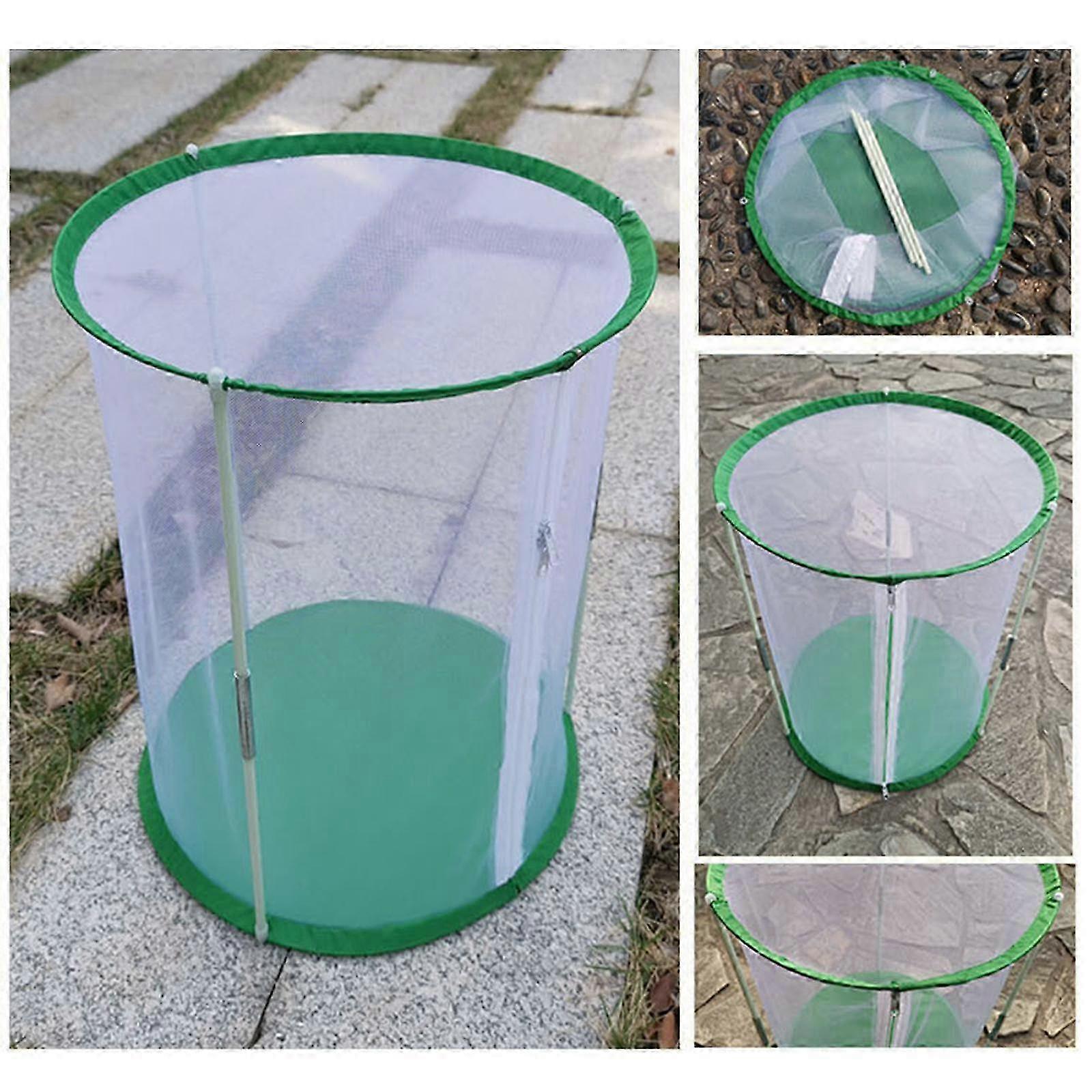 Transparent Butterfly Habitat Cage - Portable Insect Observation Mesh ...