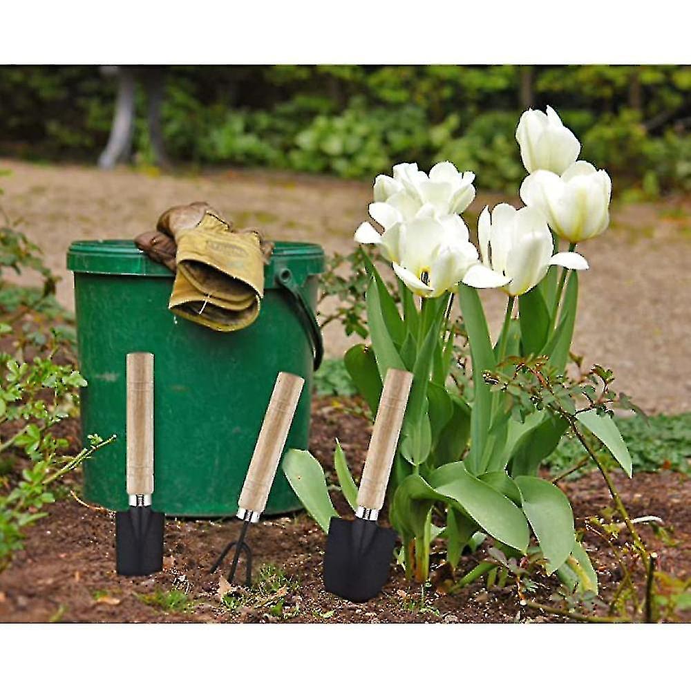 Bulb planting tools 10pcs succulent plant tools set mini garden plant ...