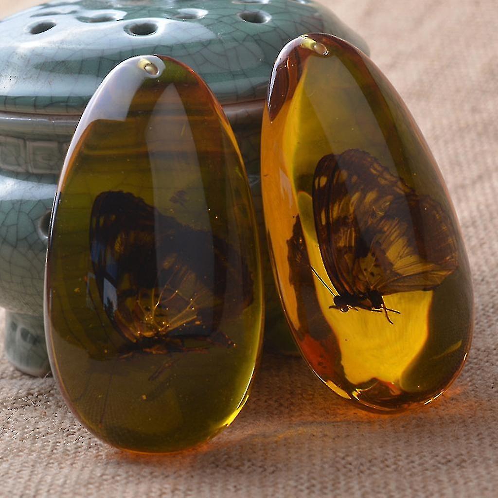 Insect Amber Butterfly Scorpions Golden Clear Block Education Real ...