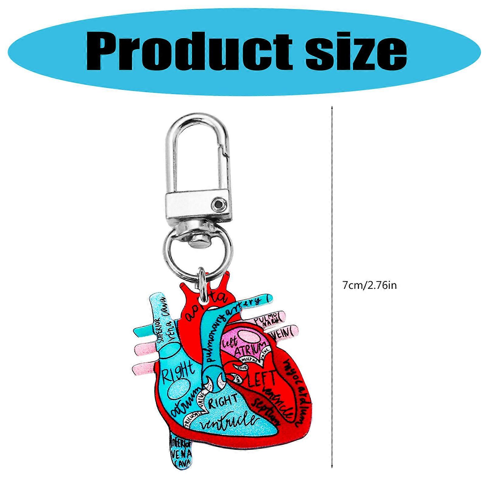 Anatomical Heart Keychain Pendant Educational Keyrings Accessory for ...
