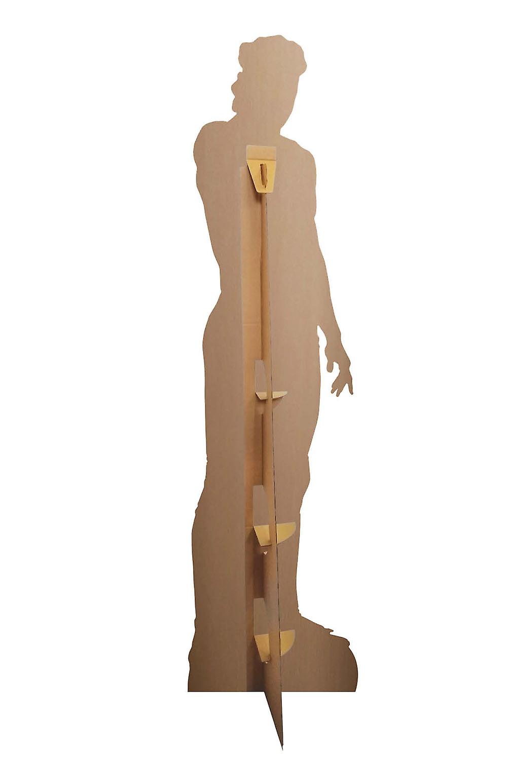 Logan Paul Celebrity Lifesize Cardboard Cutout Official WWE Standee ...