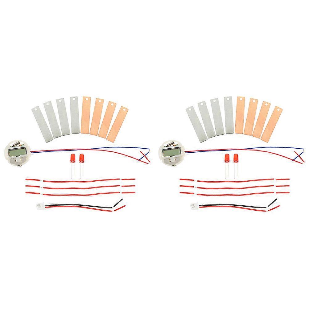 2 Sets of Scientific Experiment Fruit Battery Student DIY Fruit Battery ...
