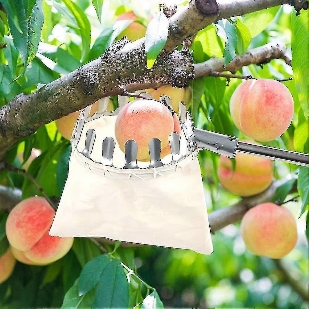 Fruit Picker, Fruit Safety Net, Fruit Net, Peach Pear Apple Picker 16cm ...