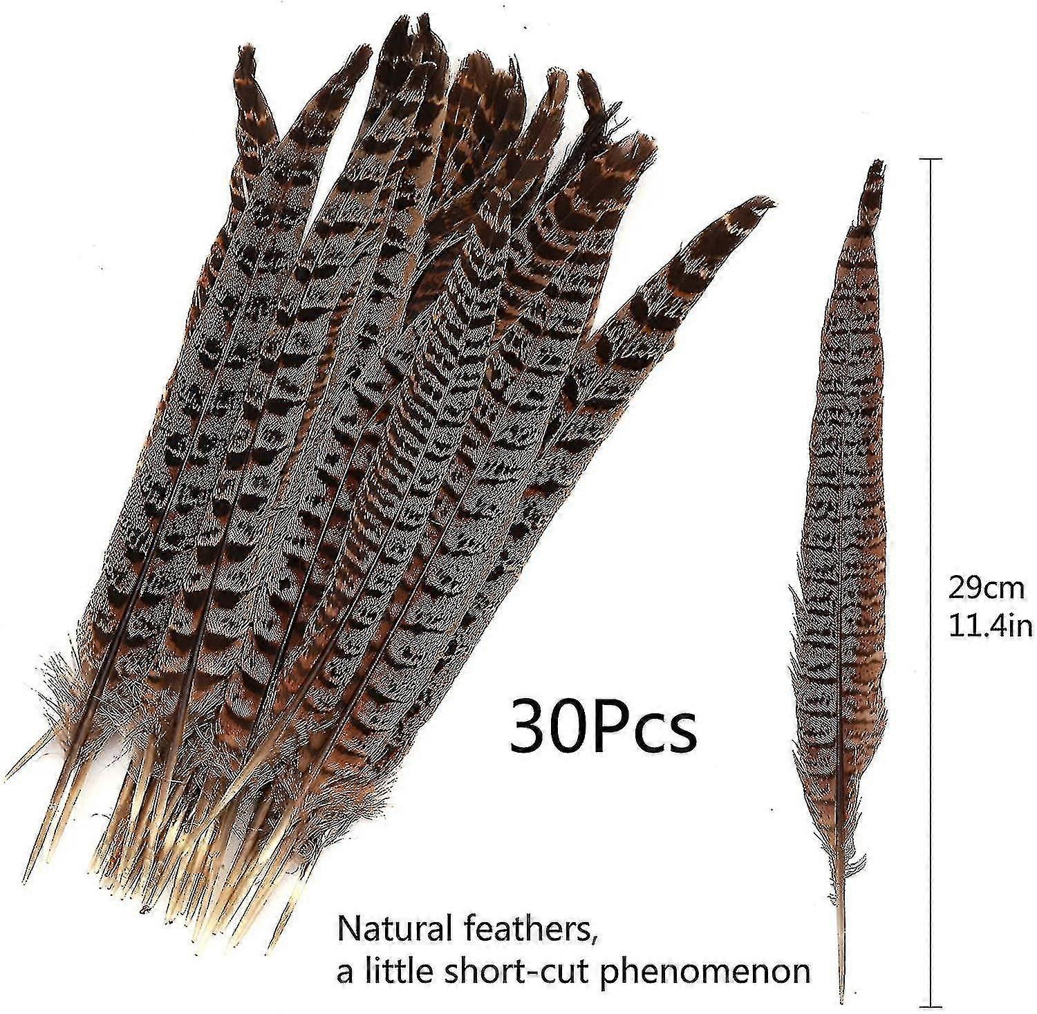 30 Pcs Natural Pheasant Feathers,diy Pheasant Tails Feather,15-28 Cm ...