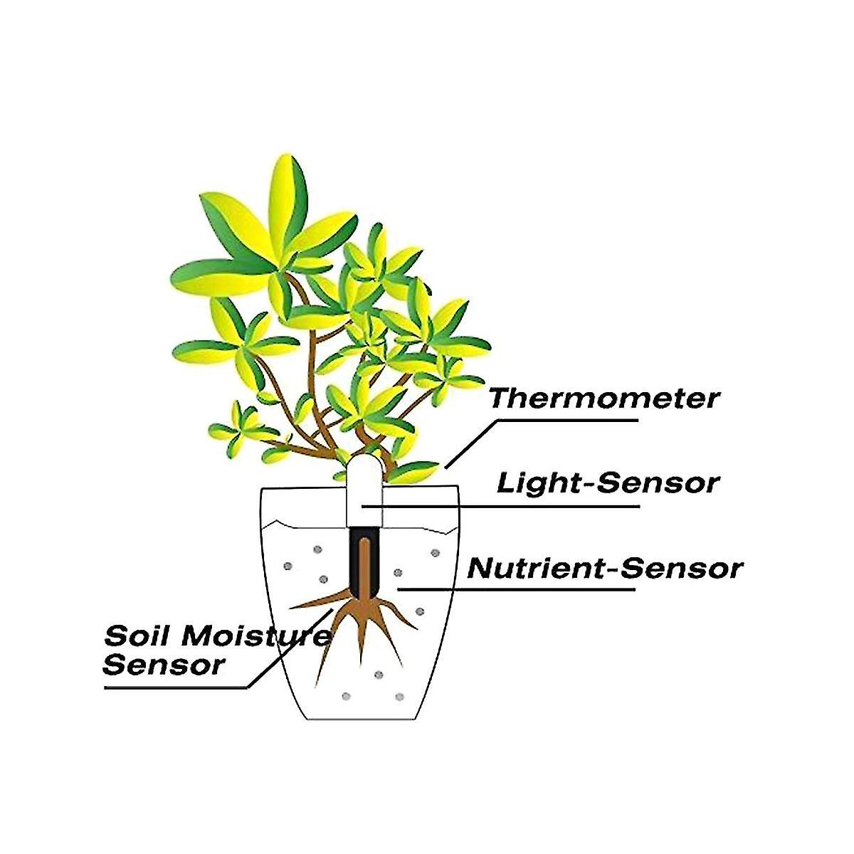 Flower Plant Monitor Soil Test Tracker Intelligent Bluetooth Monitor ...