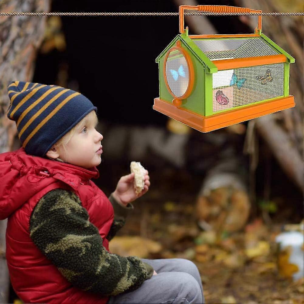 Insect boxes, crawling beetle, observation box, insect house, DIY ...