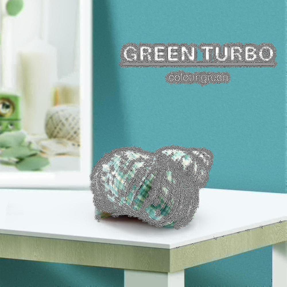 10cm Green Turbo Natural Rare Real Sea Shell Conch Stunning Healing ...