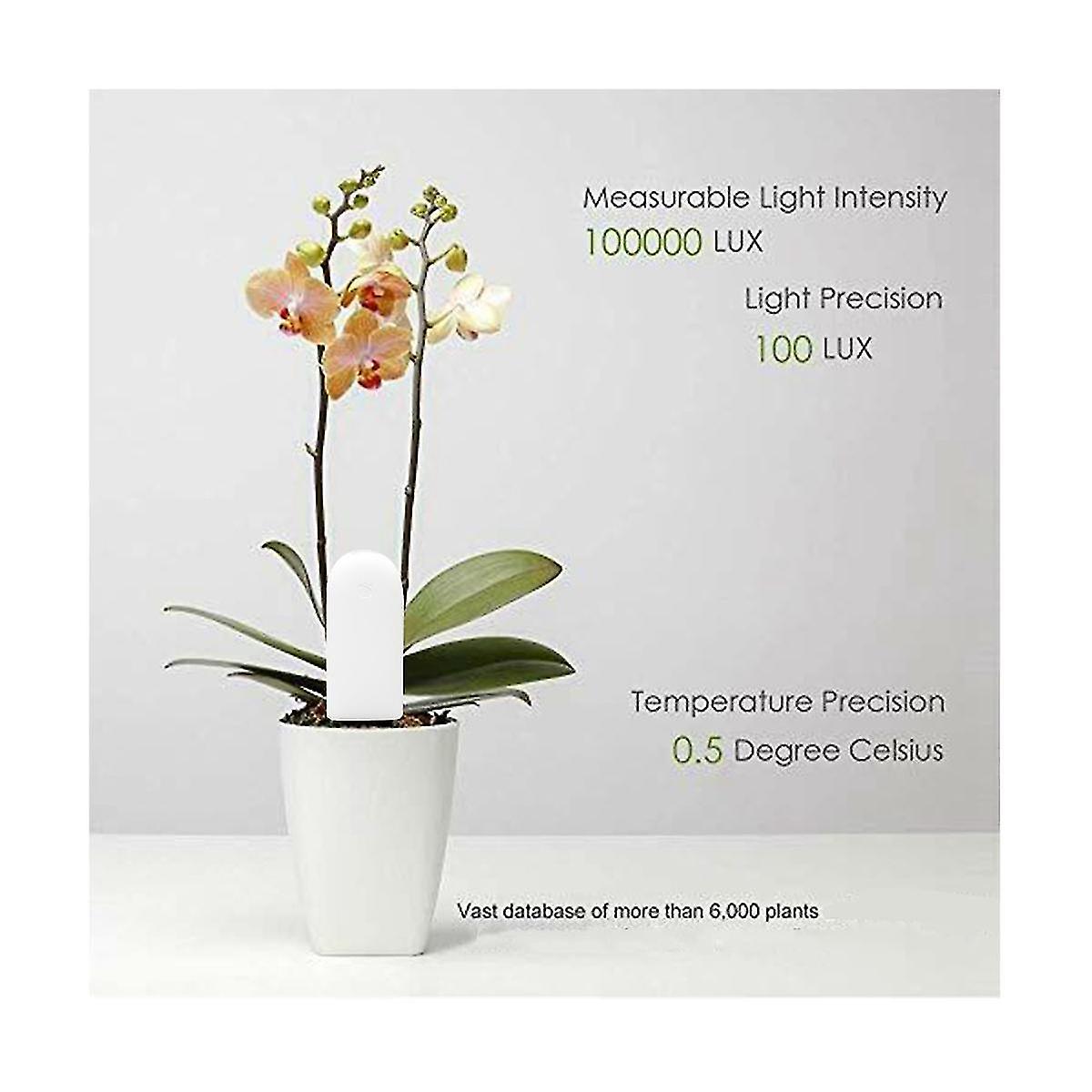 Flower Plant Monitor Soil Test Tracker Intelligent Bluetooth Monitor ...